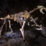 New bioengineering method could improve rice crop yields • Earth.com