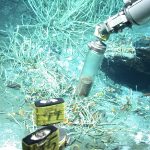 Documentary reveals what the Tyrannosaurus Rex really looked like ...