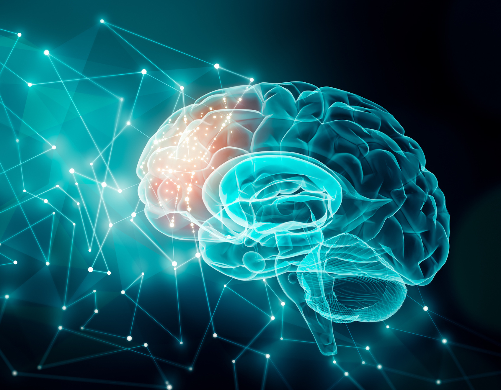 New ‘parts list’ will drastically improve our understanding of the ...