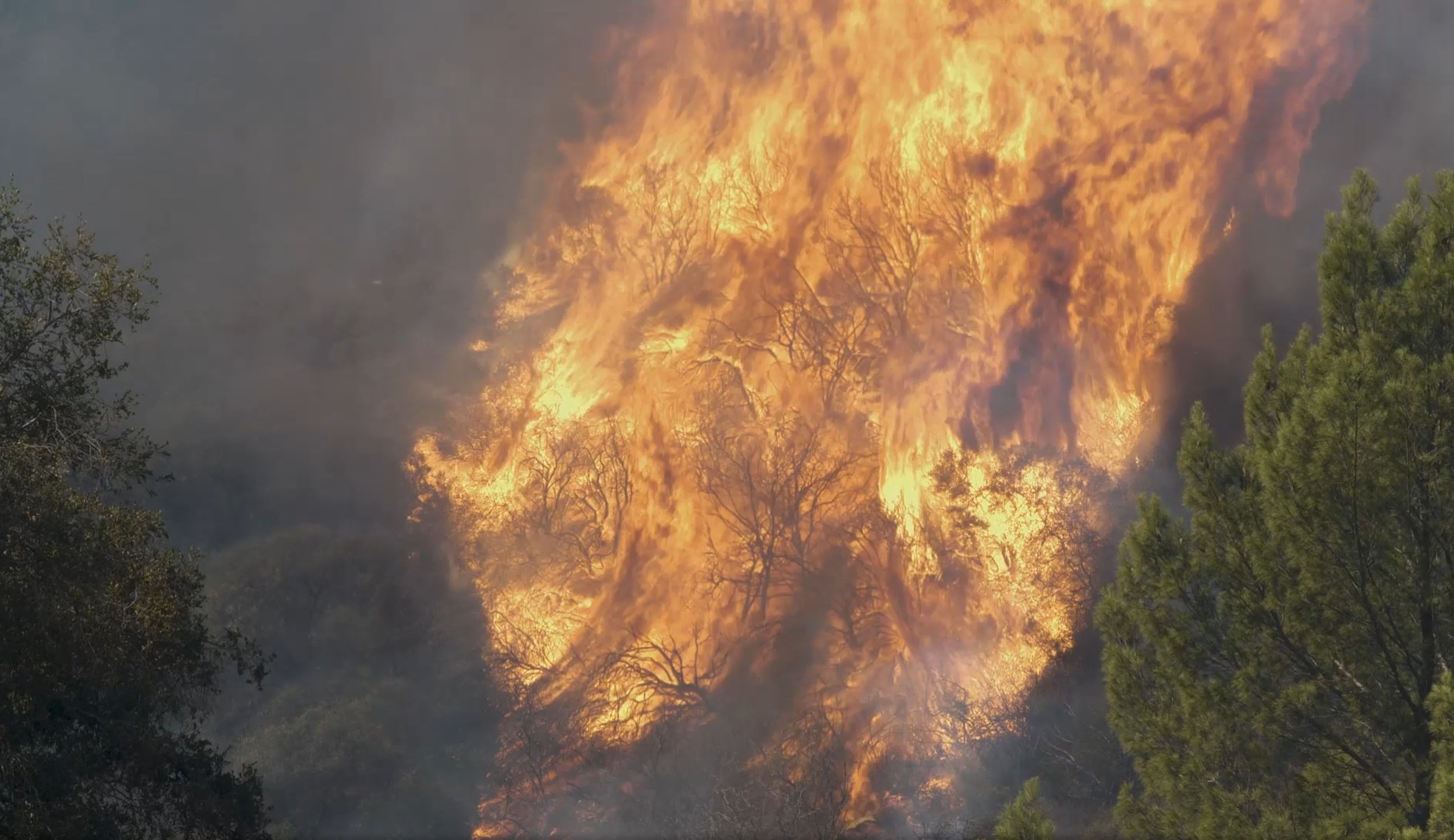 Scientists work to improve fire prediction models - Earth.com