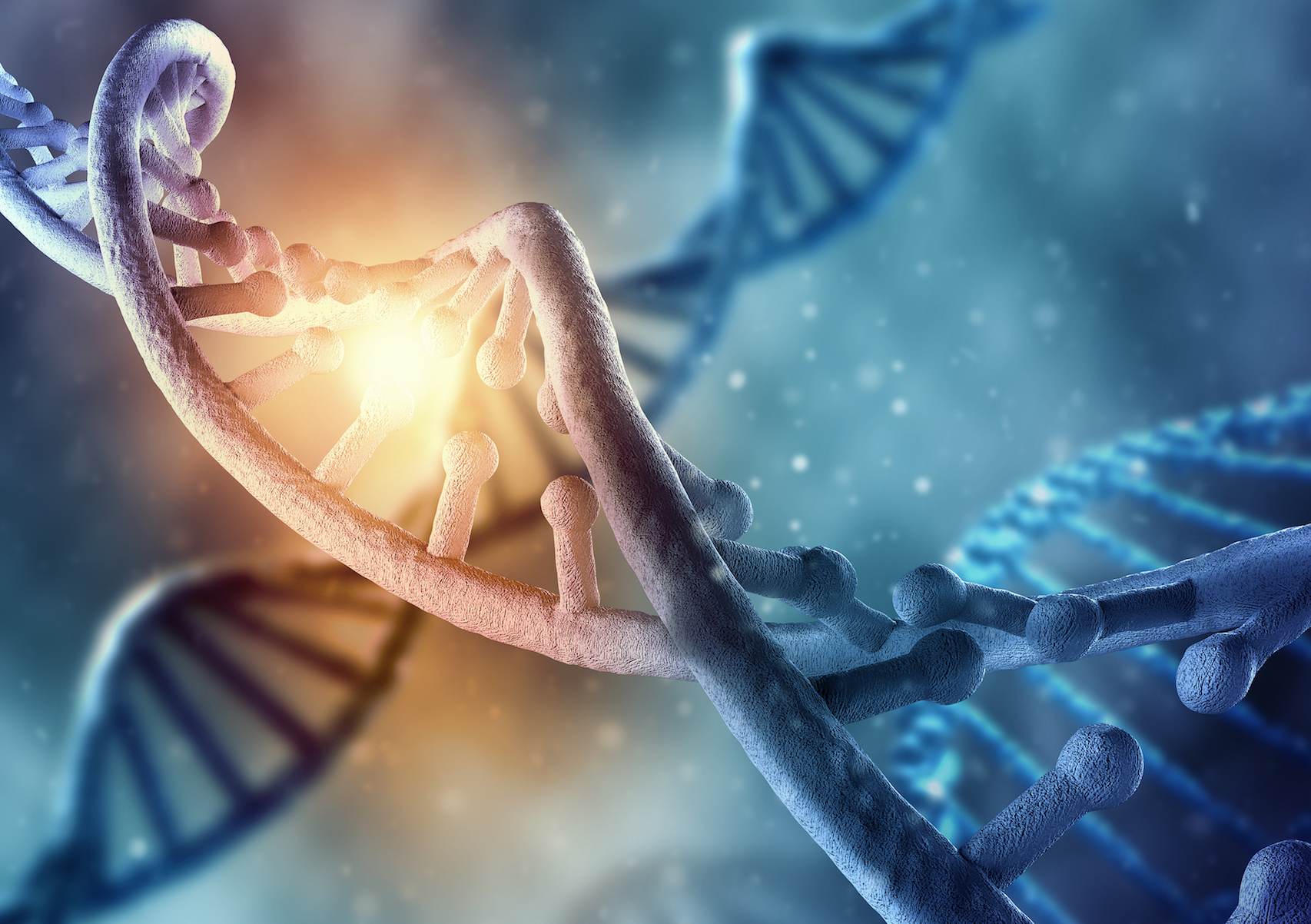 Modern humans inherited an immunity-boosting gene variant from Denisovans