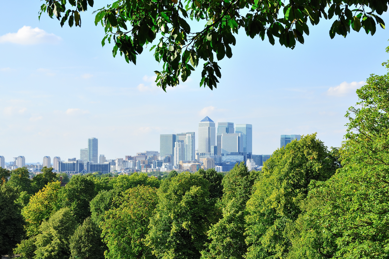 Adding trees can help keep cities cool during heatwaves - Earth.com
