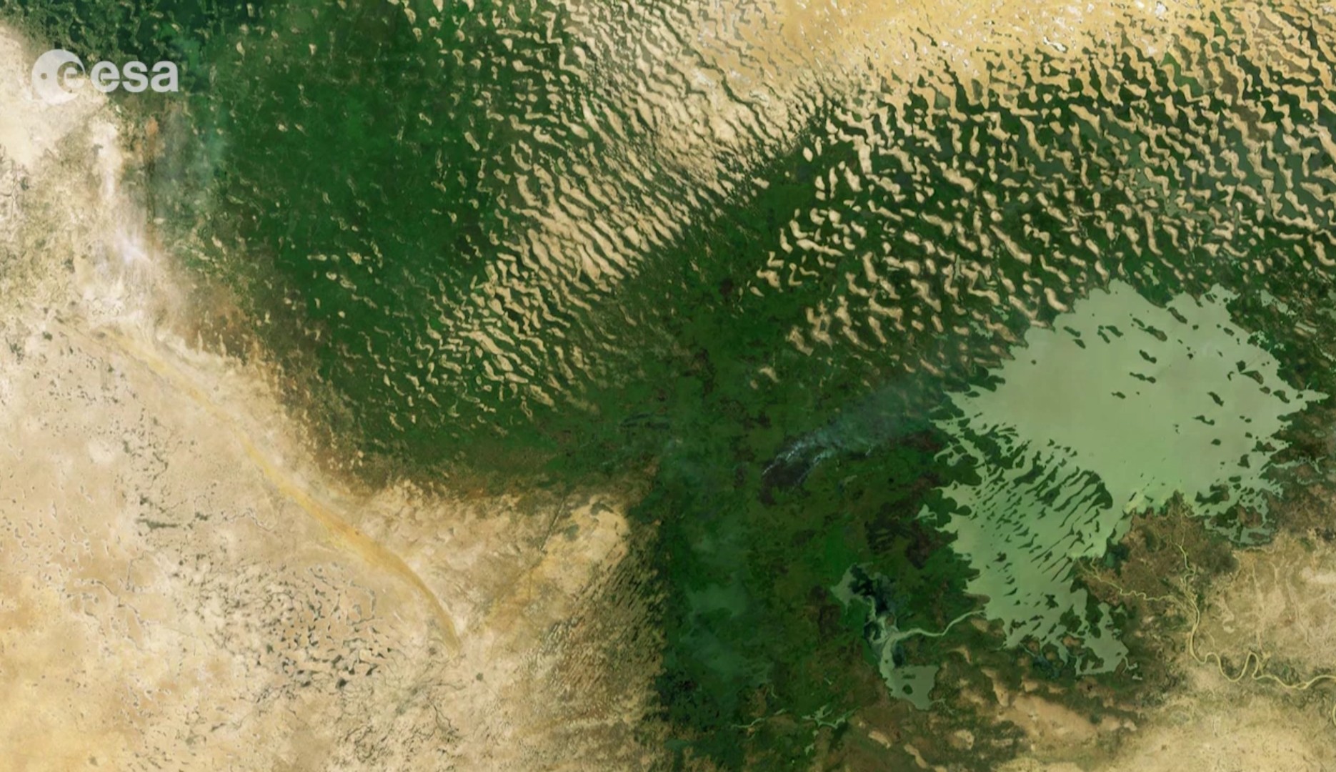 Lake Chad in West Africa - Earth.com
