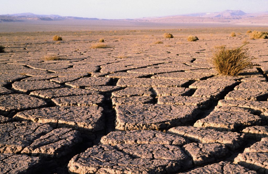 Organisms extract water from rocks to survive desert conditions - Earth.com