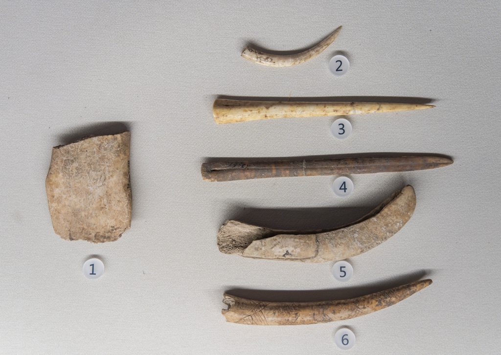 Earliest modern artifacts in Europe created by Homo sapiens - Earth.com