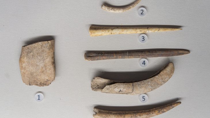Earliest modern artifacts in Europe created by Homo sapiens • Earth.com