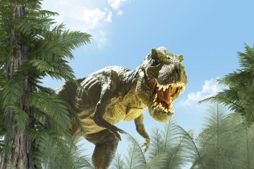 Experts find evidence of cannibalism among dinosaurs • Earth.com