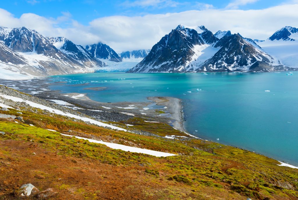 Plants grow synchronously across the Svalvard archipelago - Earth.com