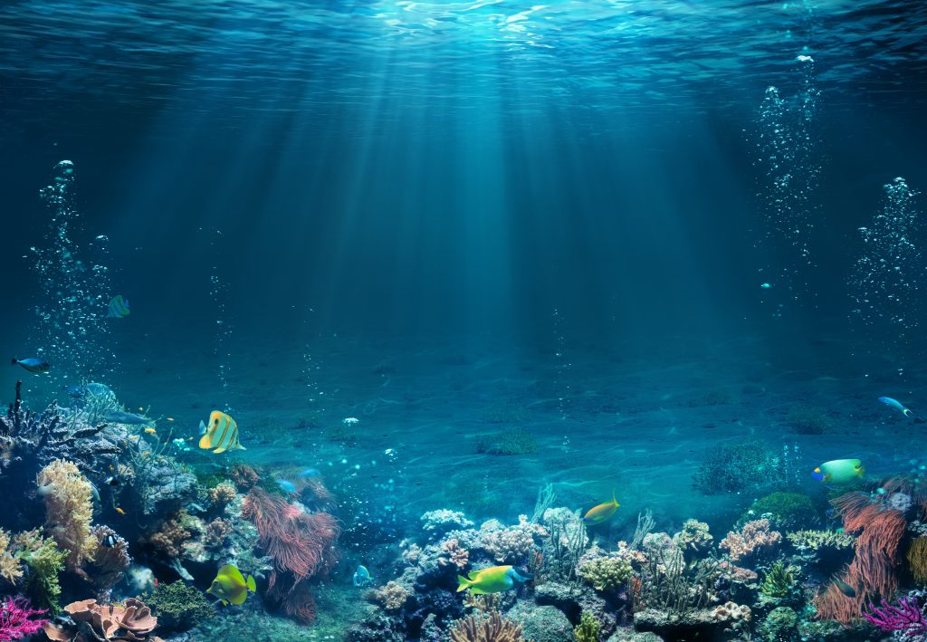 Deep-sea corals grow faster and are more resilient than expected ...