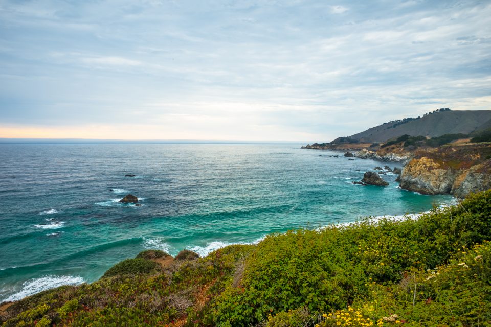 Seaweed gives scientists a history lesson on Monterey Bay • Earth.com