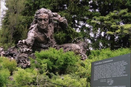 The 5 Most Famous Botanists in History - Earthpedia - Earth.com