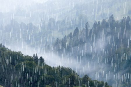 Expect more extreme wet and dry seasons with climate change • Earth.com