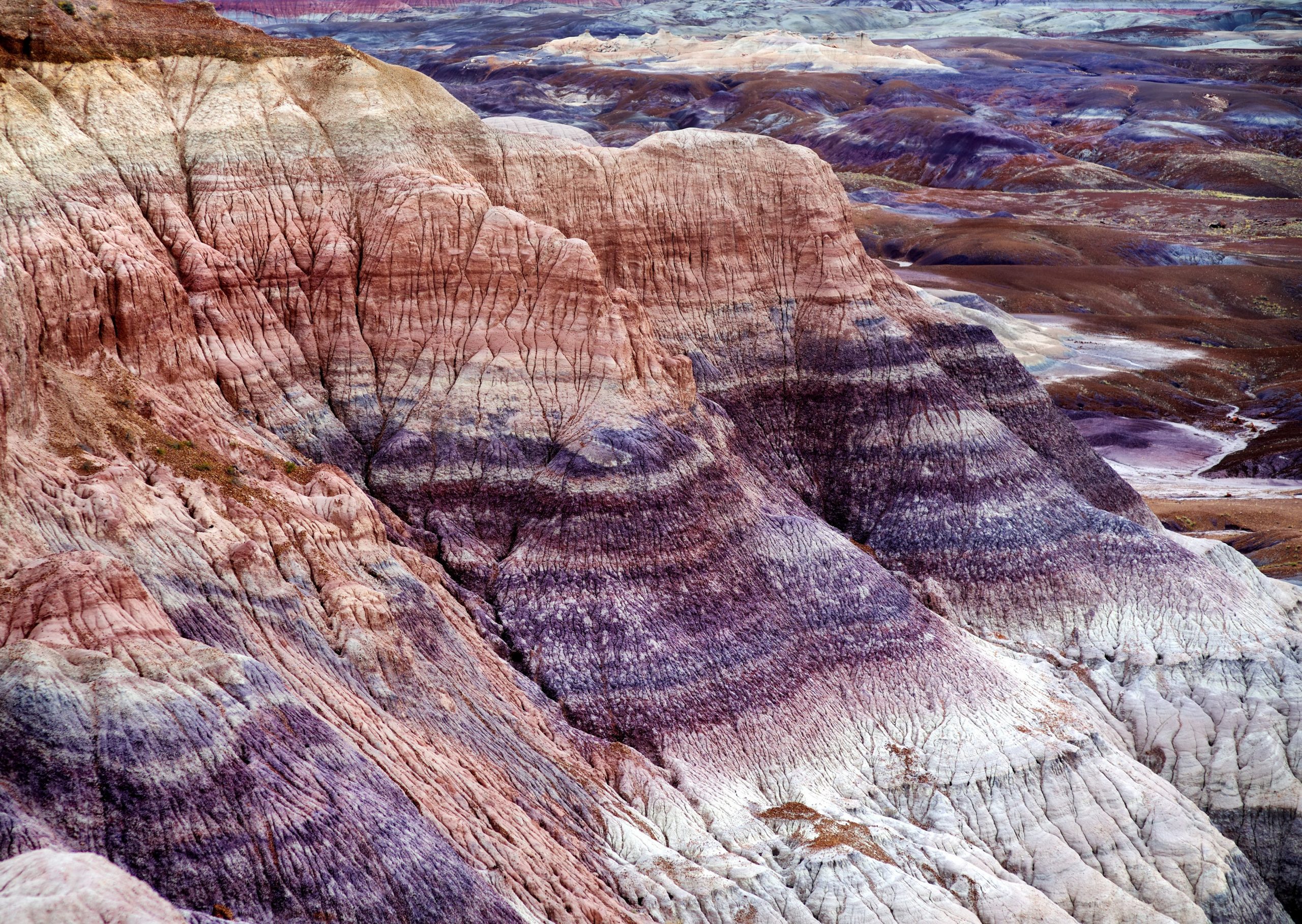 Arizona rock will help solve mysteries of the Triassic - Earth.com