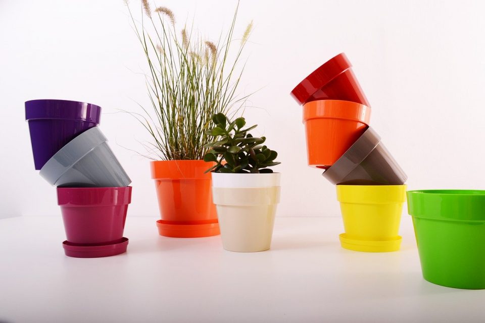 The Beginner's Guide to Plant Pots - Earth.com - Earthpedia