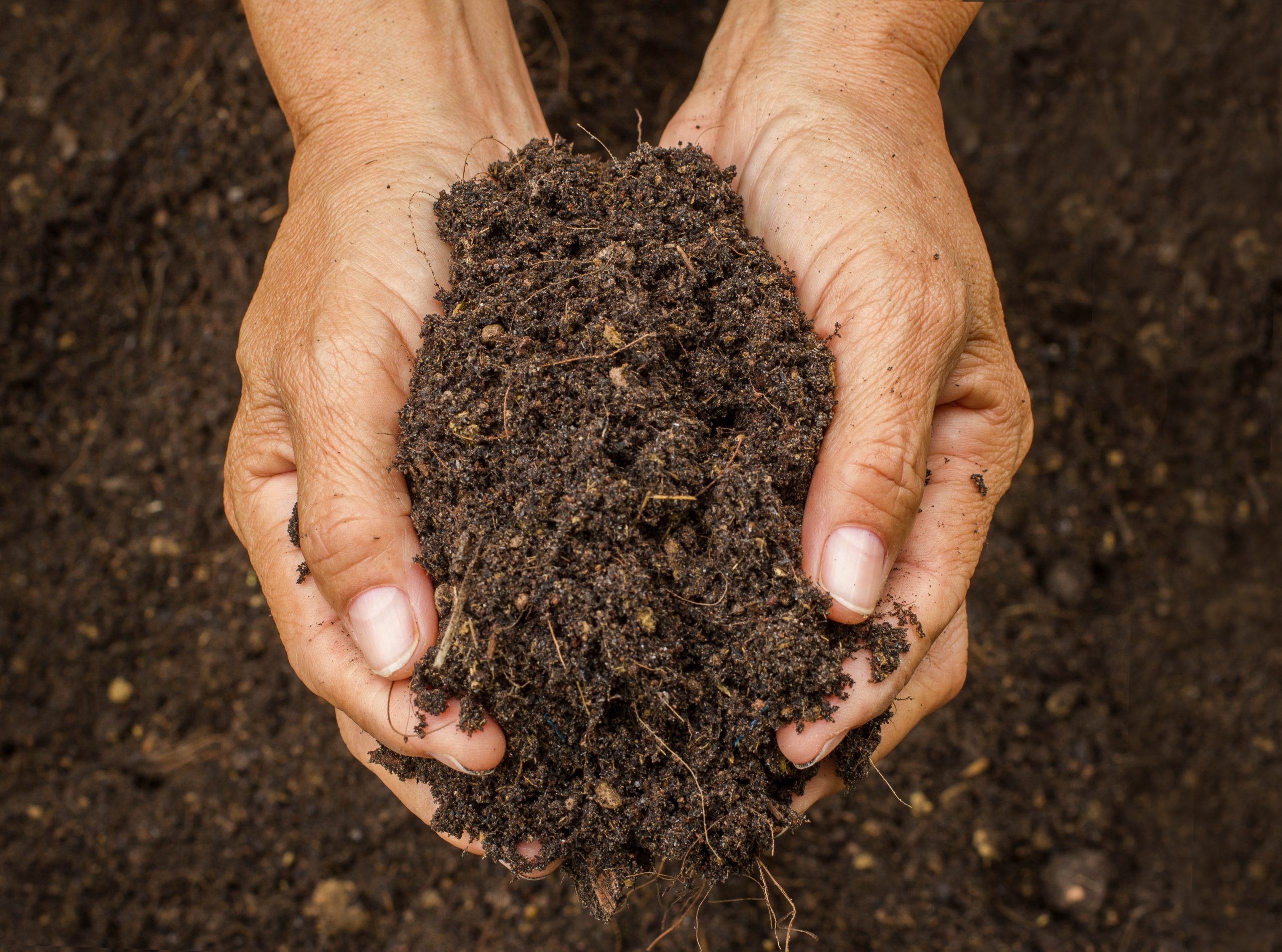 Soil Pollution Is A Source Of Antibiotic Resistance Earth