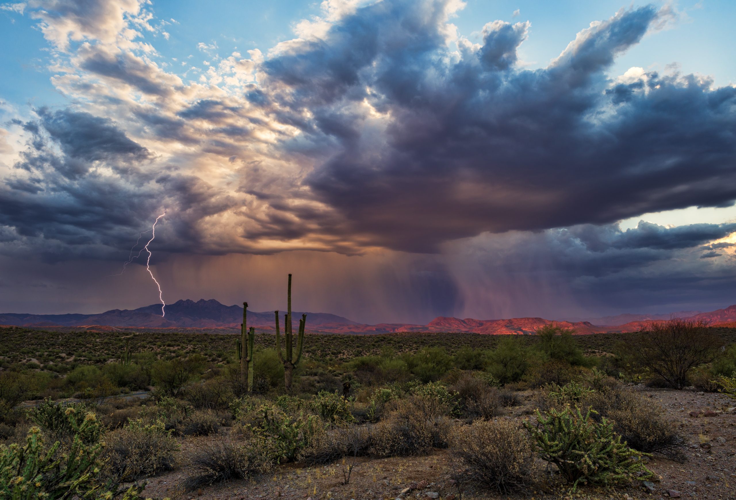 New model shows the Indus civilization collapsed due to climate change ...