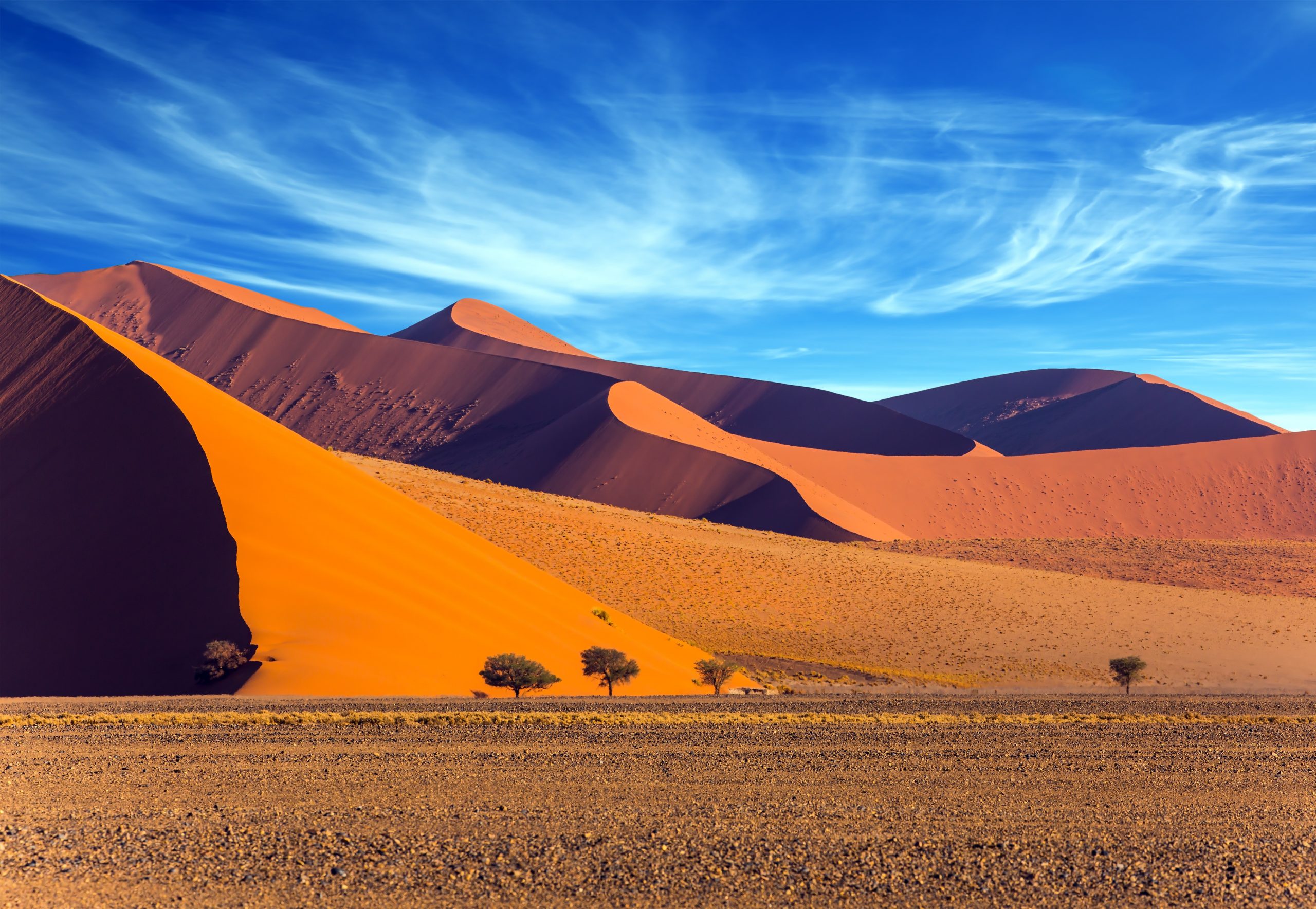Studying carbon cycling in one of the driest places on Earth - Earth.com