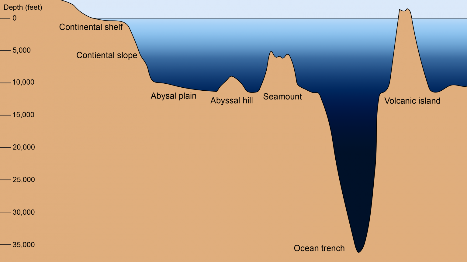 Ocean Floor Features You Should Know About - Earth.com - Earthpedia