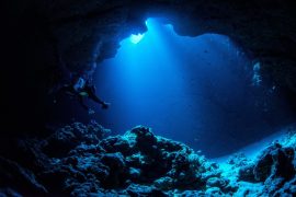 Ocean Floor Features You Should Know About • Earth.com • Earthpedia
