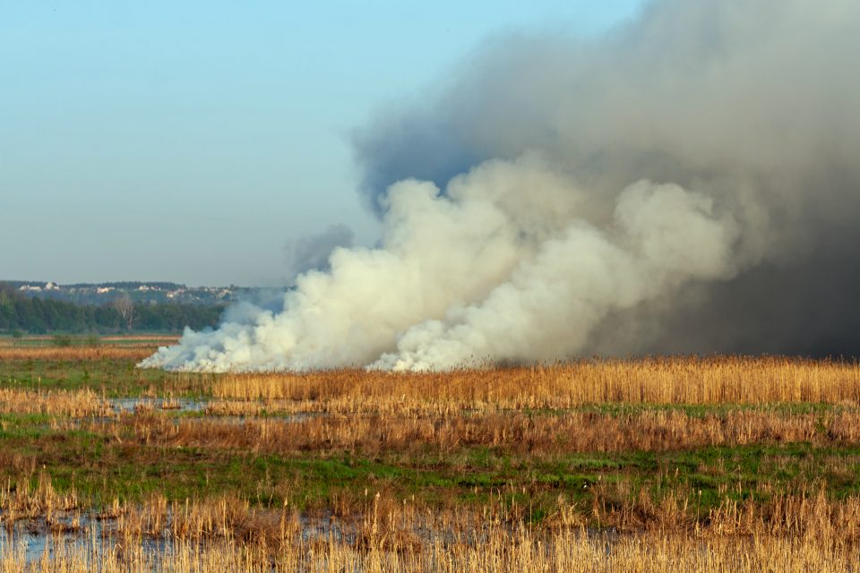 Soil moisture is key to slowing zombie fires • Earth.com