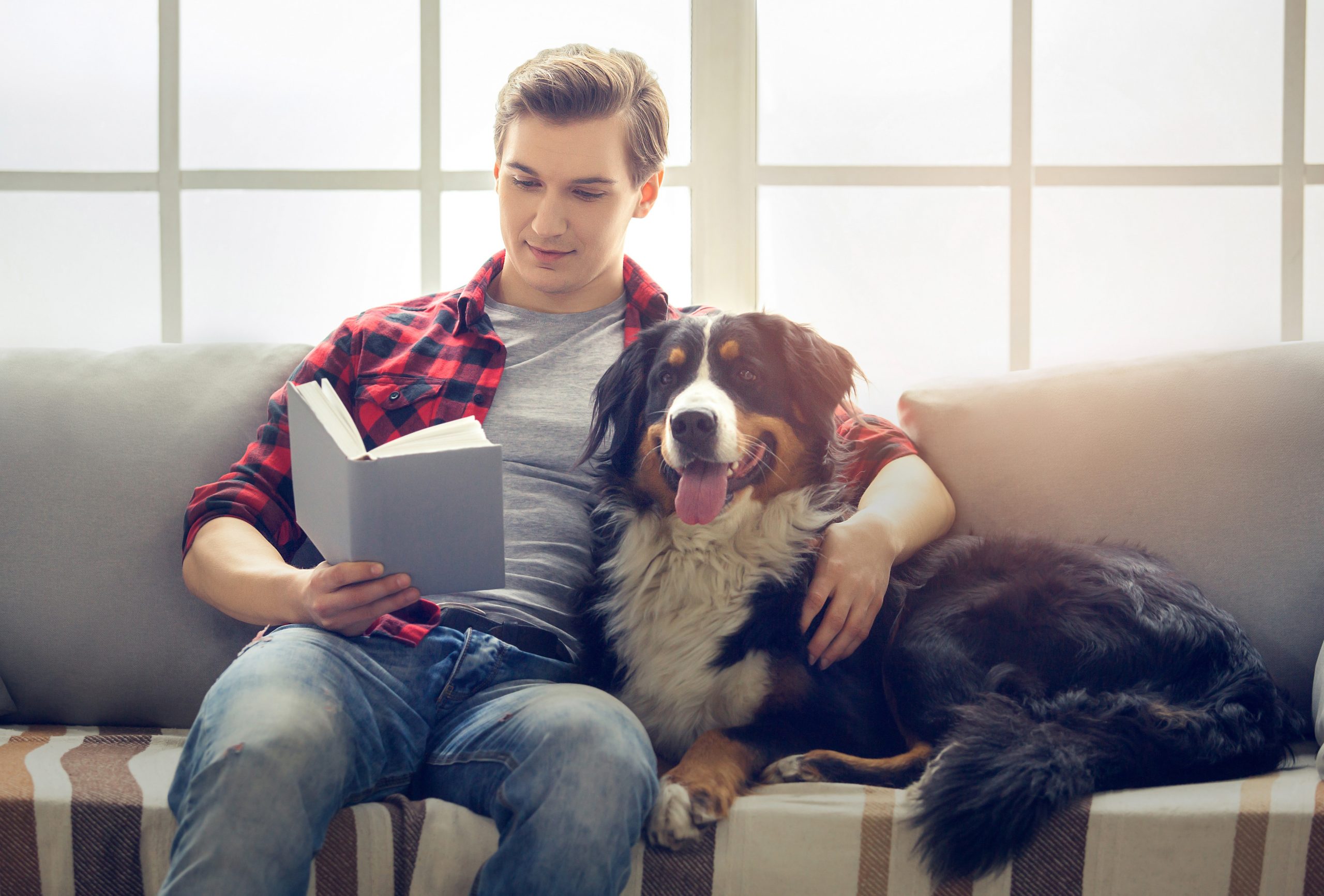 Dogs take their owners' preferences into consideration - Earth.com