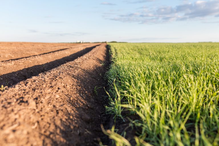Understanding The Importance Of Arable Land - Earth.com - Earthpedia