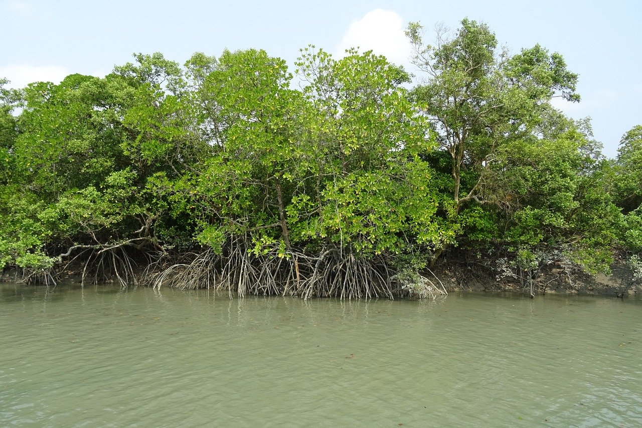 10 Examples Of Surface Water On Earth - Earth.com