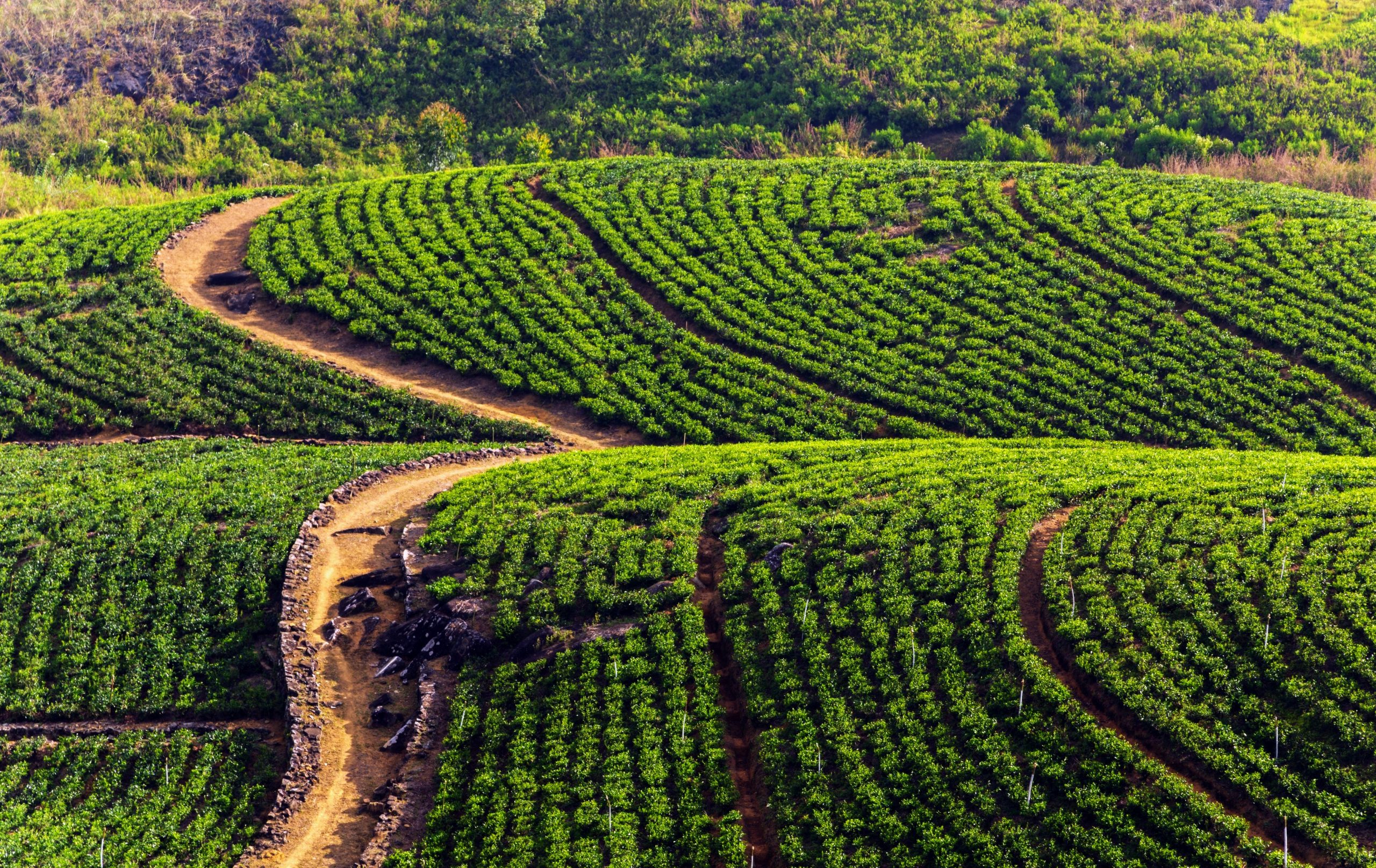 Current food production methods threaten thousands of species - Earth.com