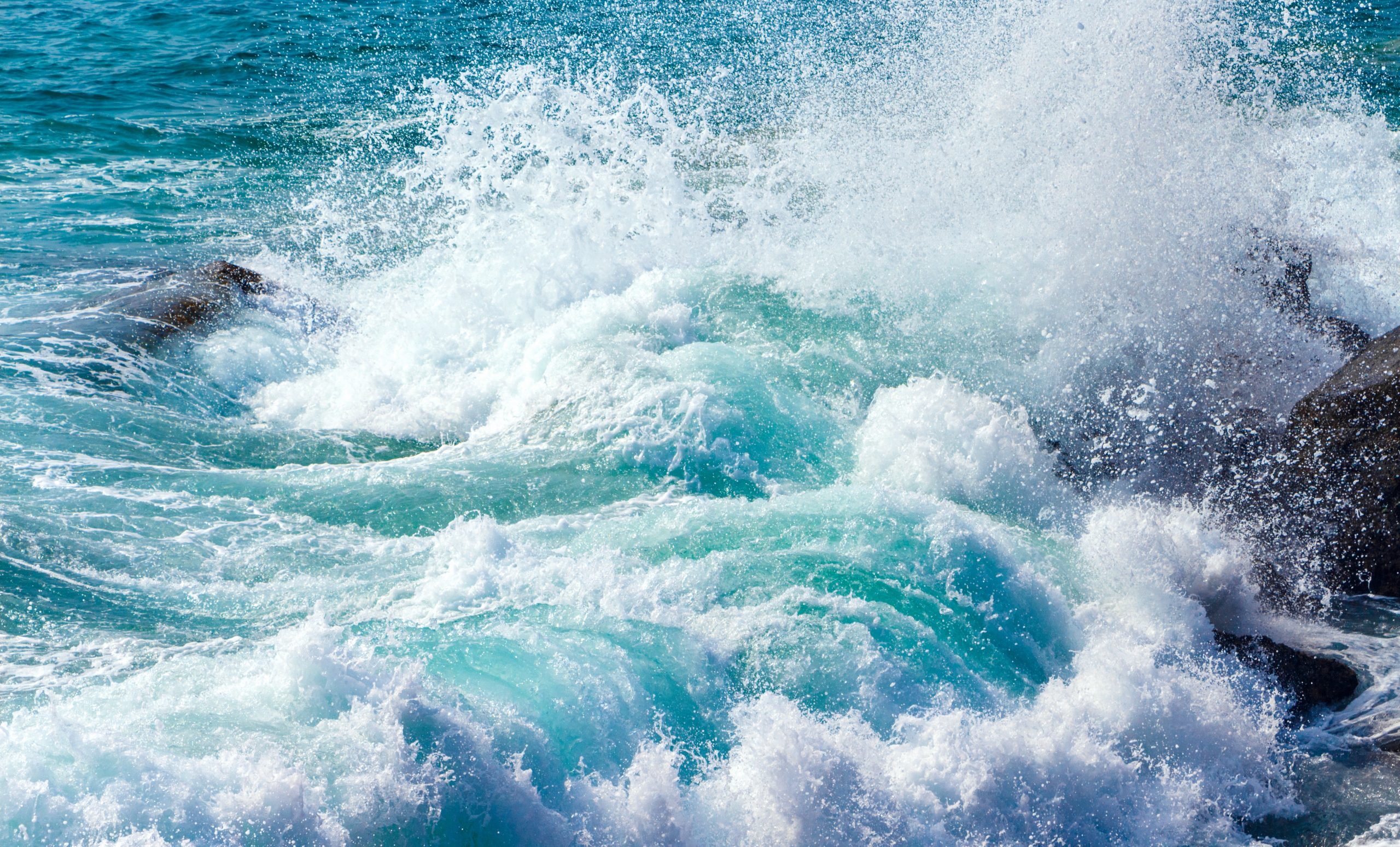 Microplastics travel by wind to remote parts of the ocean - Earth.com