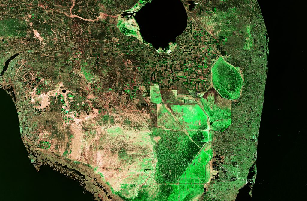 Florida and the Everglades National Park - Earth.com