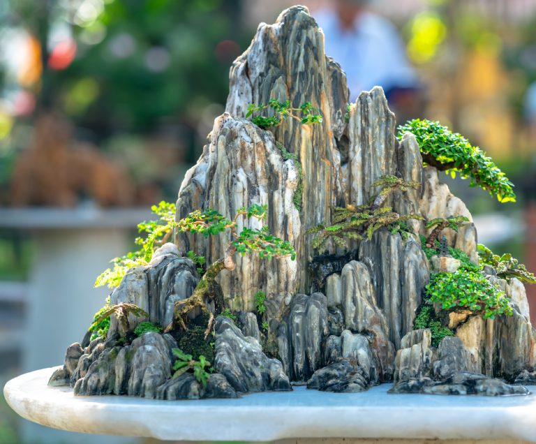 What is the Chinese Art of Penjing? (It's Not the Same as Bonsai ...