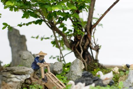 What is the Chinese Art of Penjing? (It's Not the Same as Bonsai ...