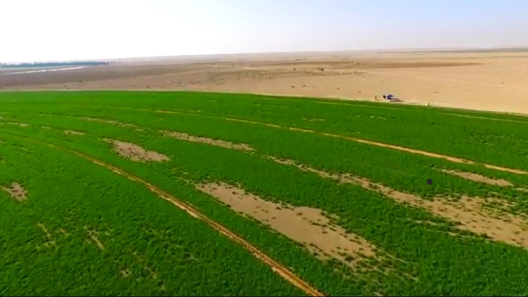 Monitoring groundwater resources in dry regions - Earth.com