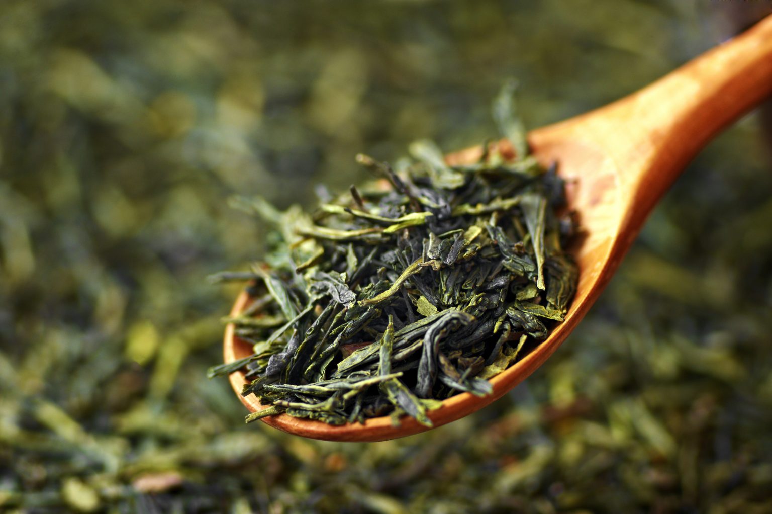 Green tea compound may be a powerful weapon against cancer • Earth.com