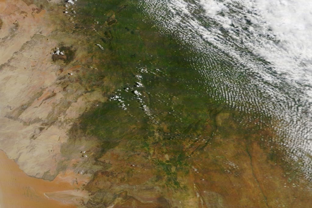 Rainfall transforms the landscape of Namibia - Earth.com