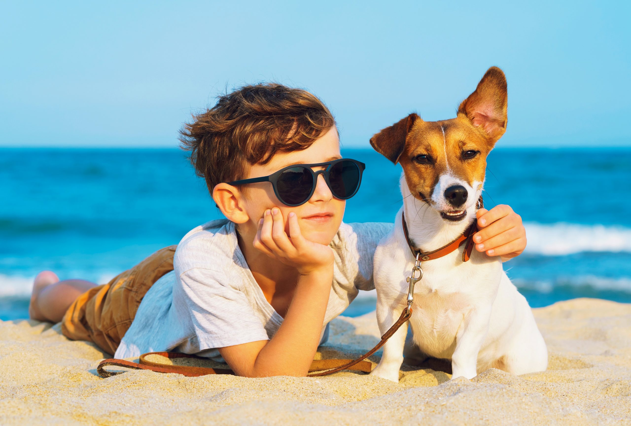 Dogs help children improve their confidence and social skills - Earth.com