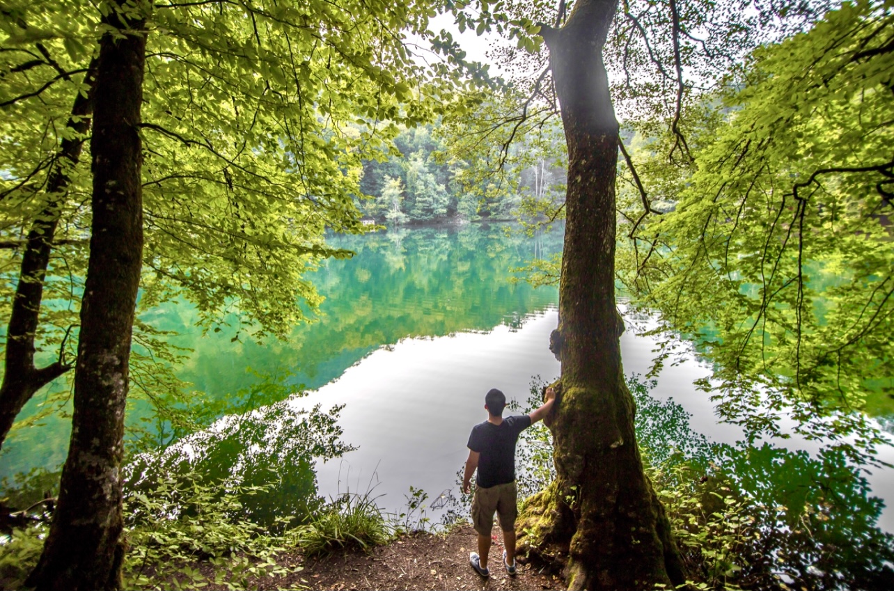 People who are connected with nature have better coping skills - Earth.com