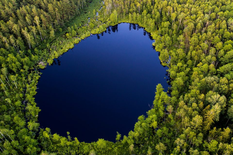 Nature Videos - Earth.com