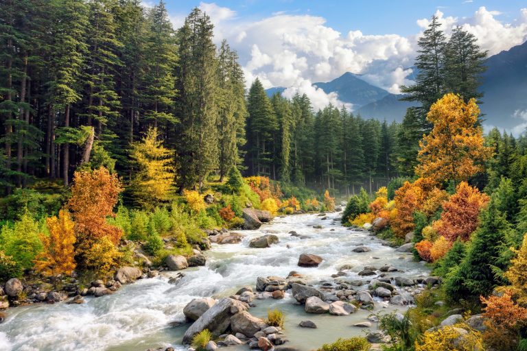 Stream quality is strongly correlated with human health • Earth.com