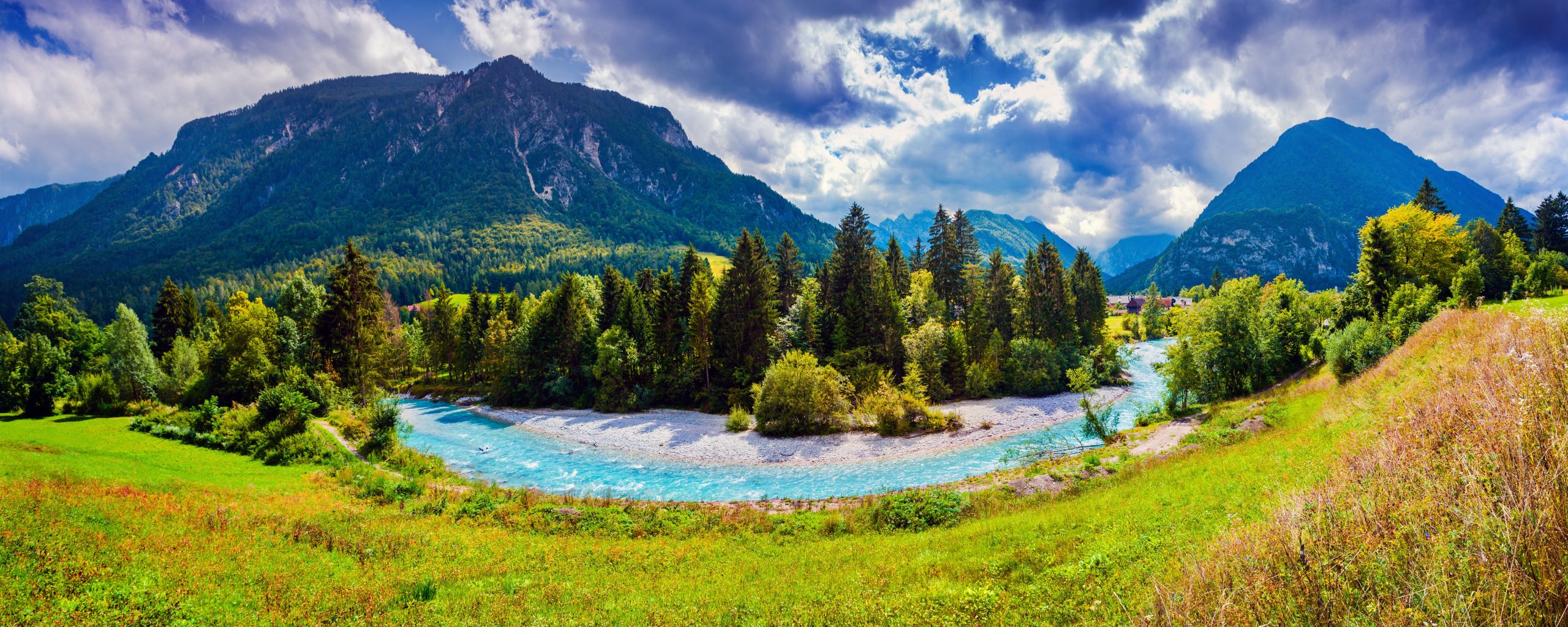 Healthy ecosystems are needed to prevent future pandemics - Earth.com