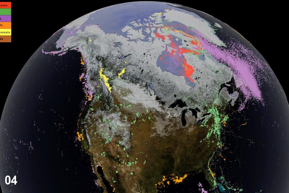 Earth.com -- Earth News, Videos and Images