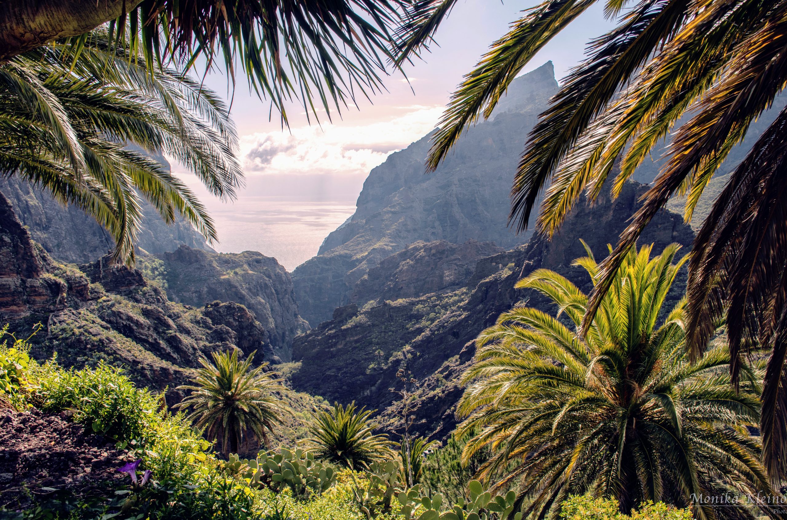 How much have humans impacted the world's plant life? - Earth.com