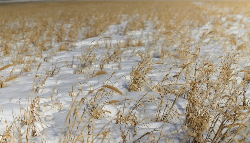 SnowEx aims to advance satellite remote sensing - Earth.com