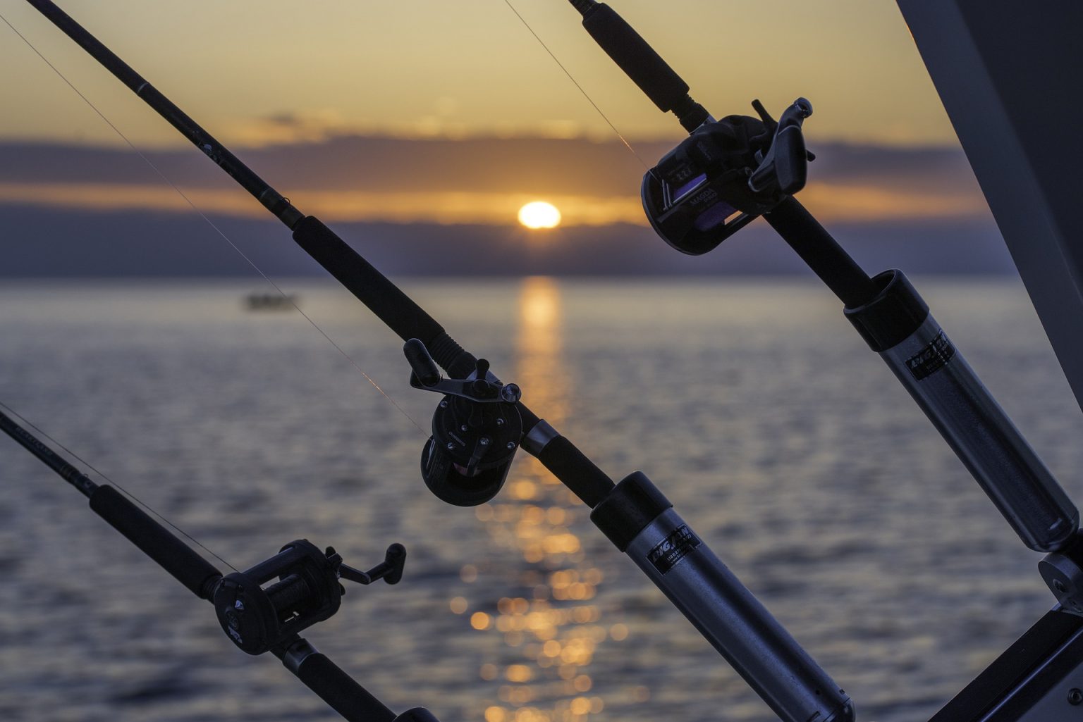 O que realmente é a pesca em alto mar?