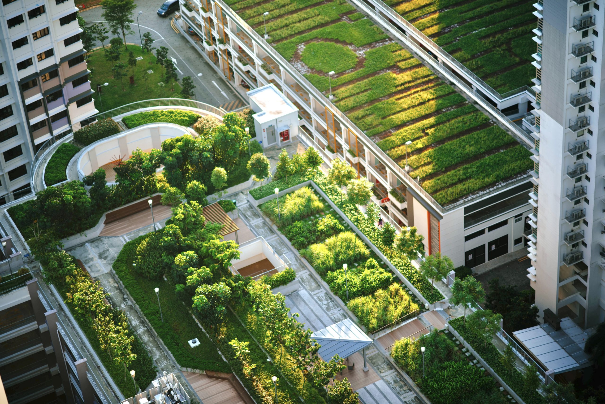 Green roofs offer habitat opportunities for diverse species - Earth.com