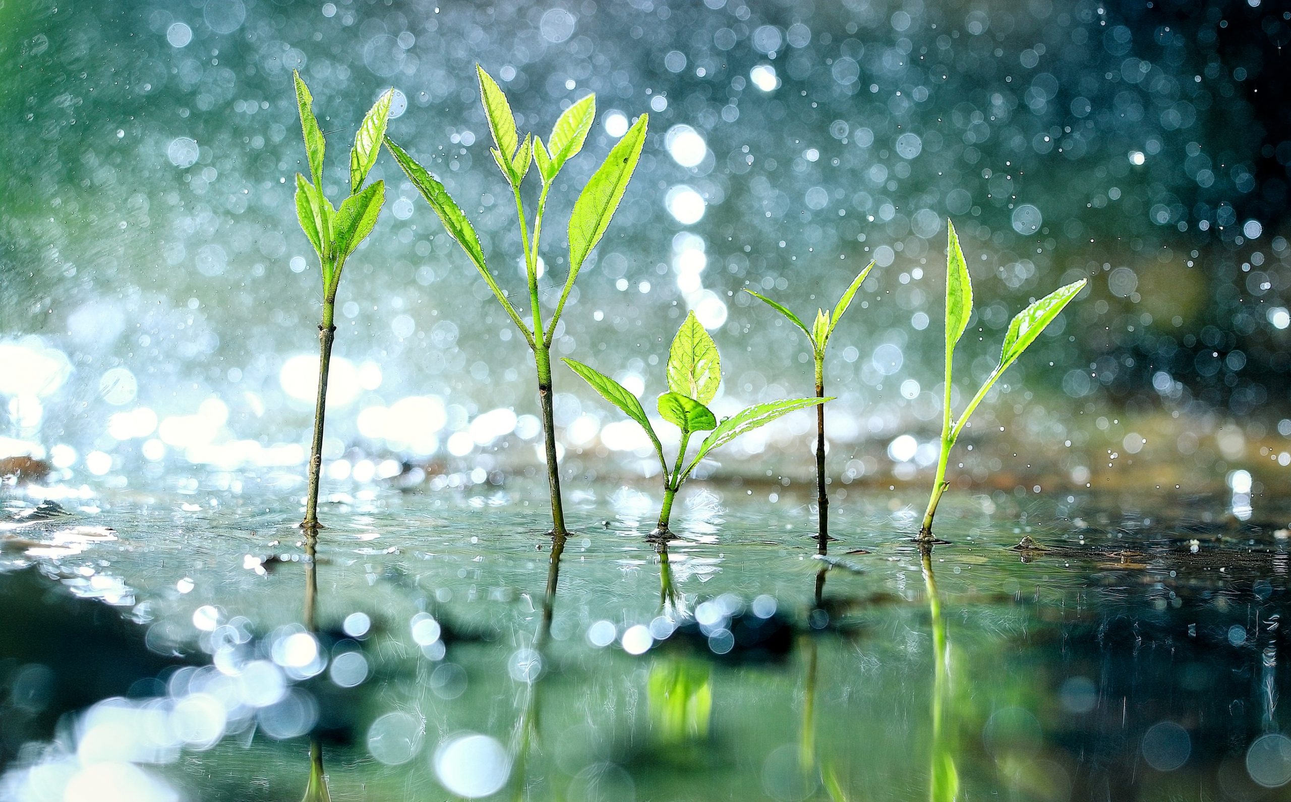 Greenhouse gas emissions cause a major delay in rainfall - Earth.com