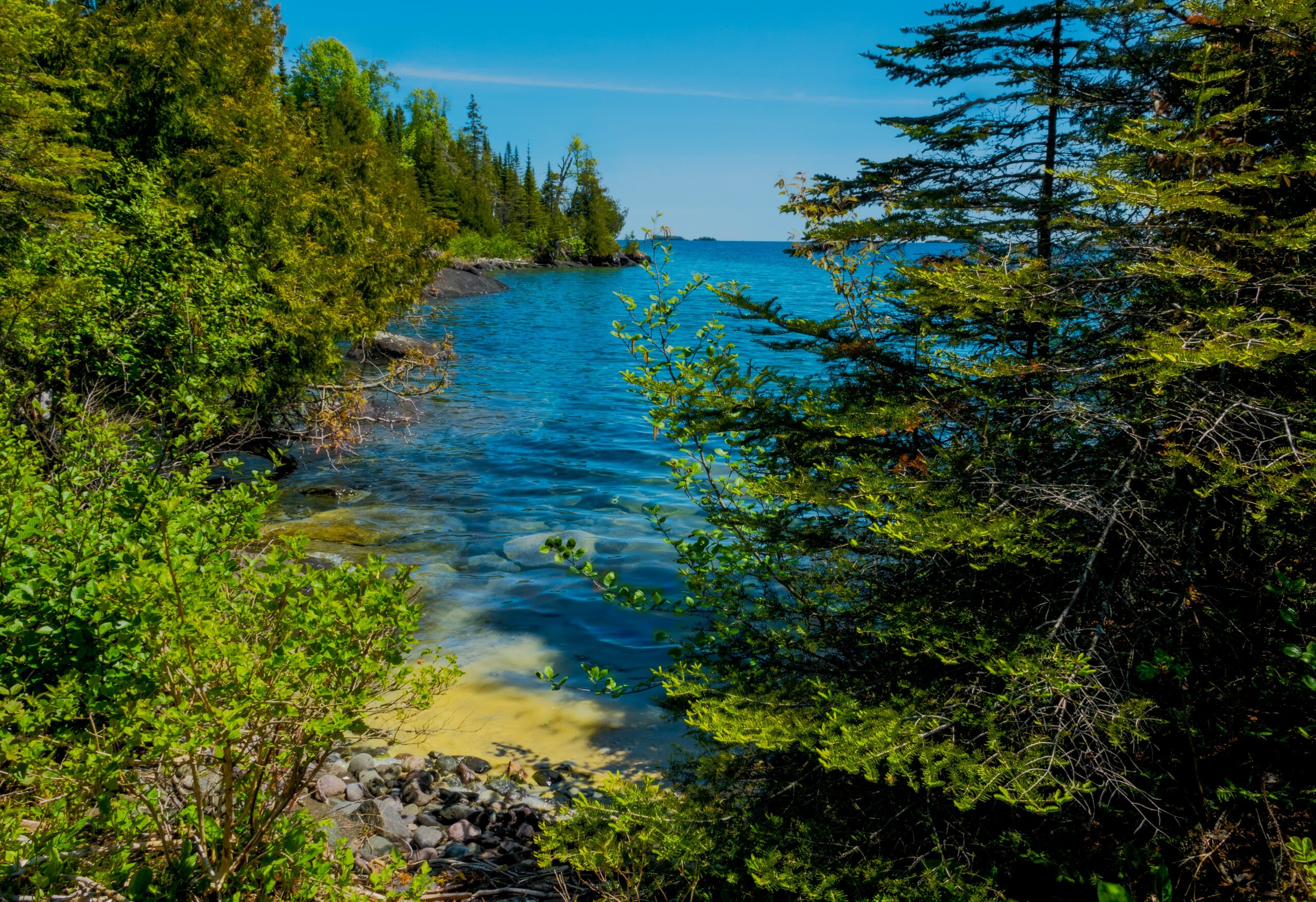 Iconic wildlife populations are declining on Isle Royale - Earth.com