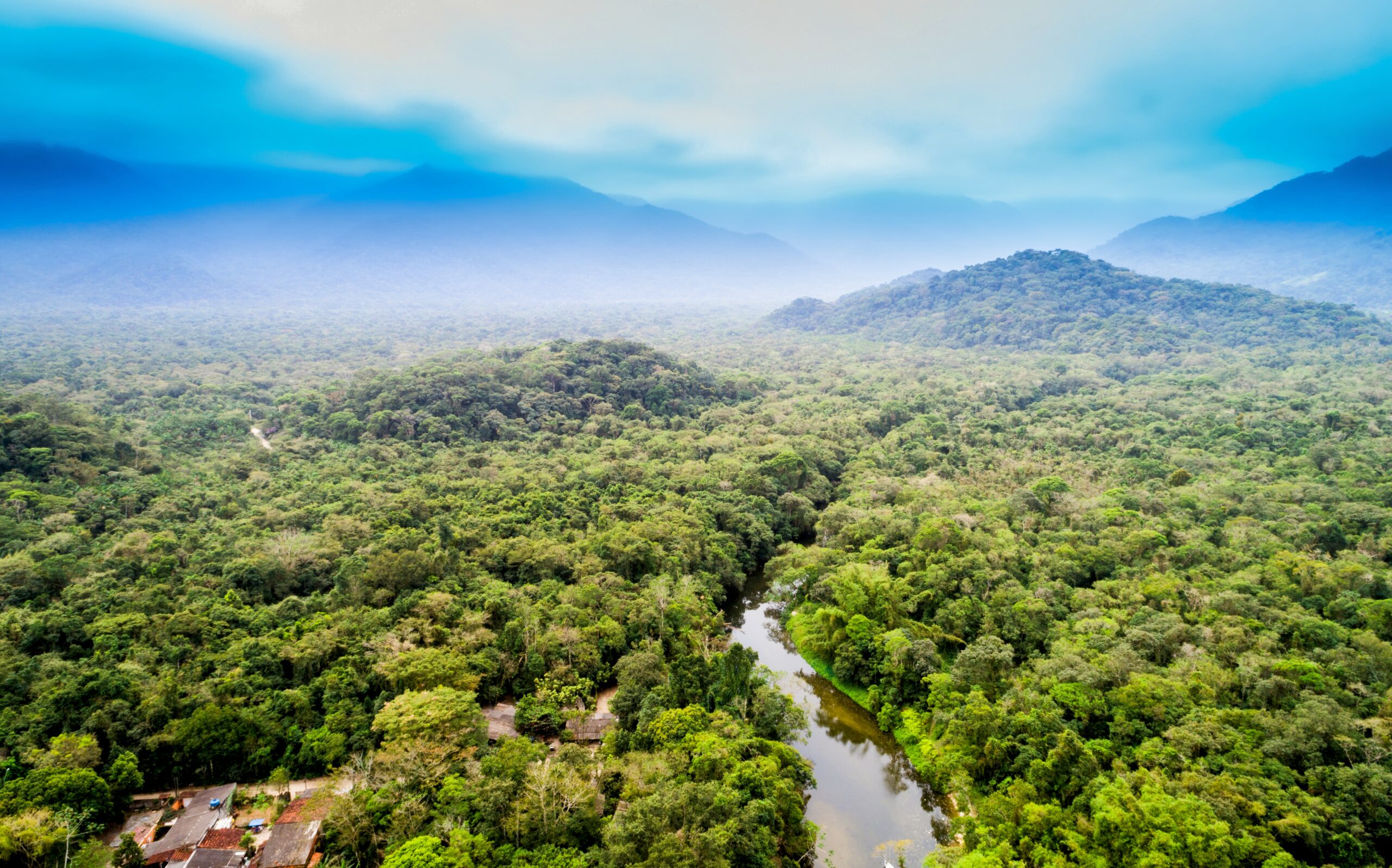 Forest recovery is lacking in the most deforested areas of the Amazon ...