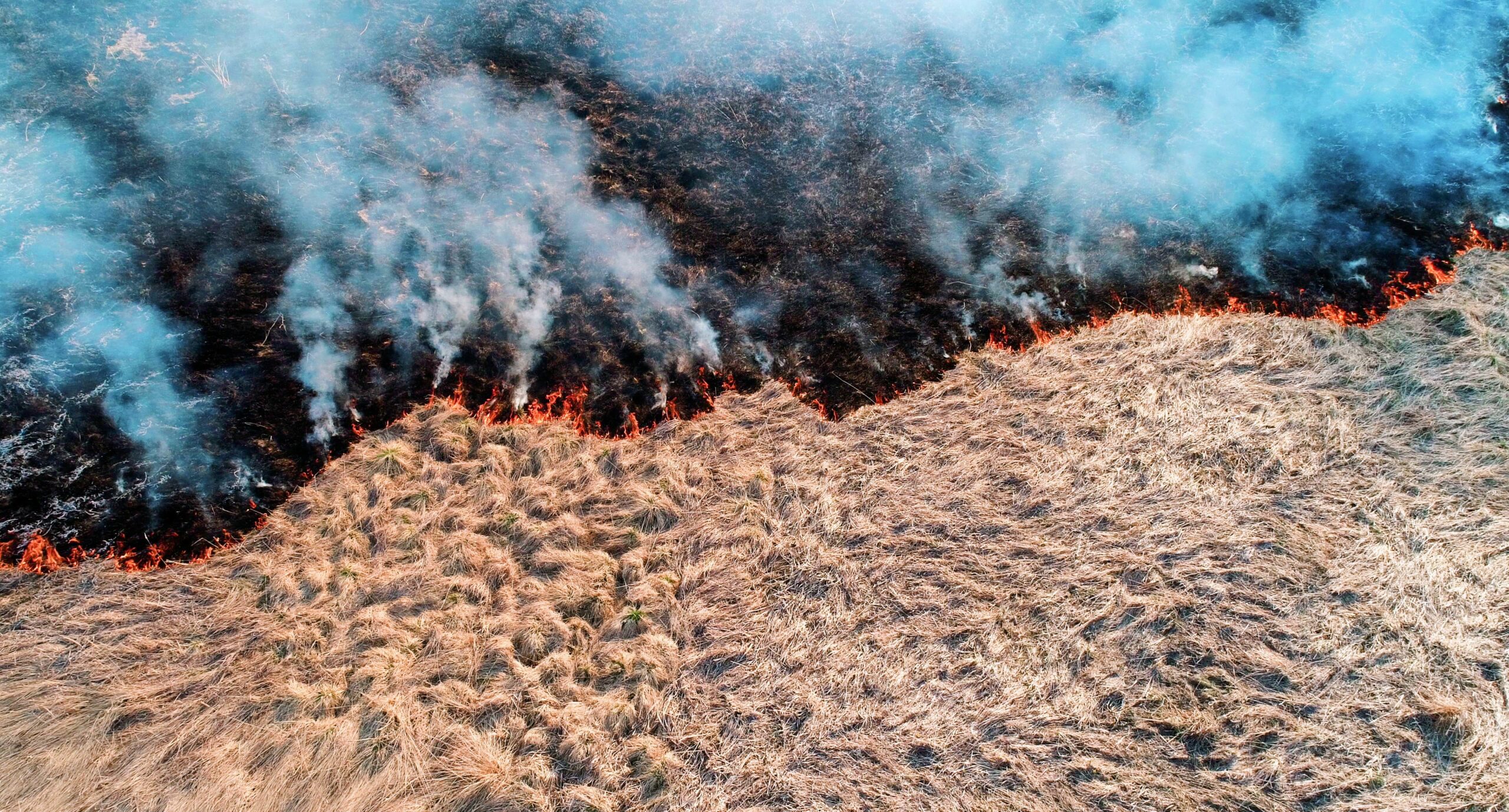 Indigenous people demonstrate the value of controlled fire - Earth.com