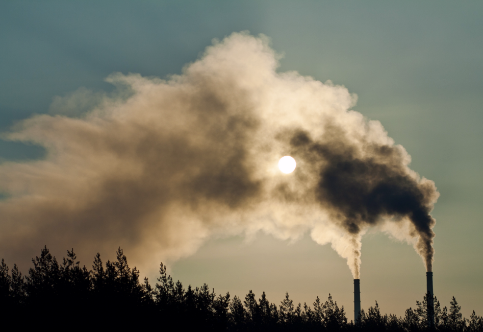 Common air pollutants contribute to cardiovascular disease - Earth.com